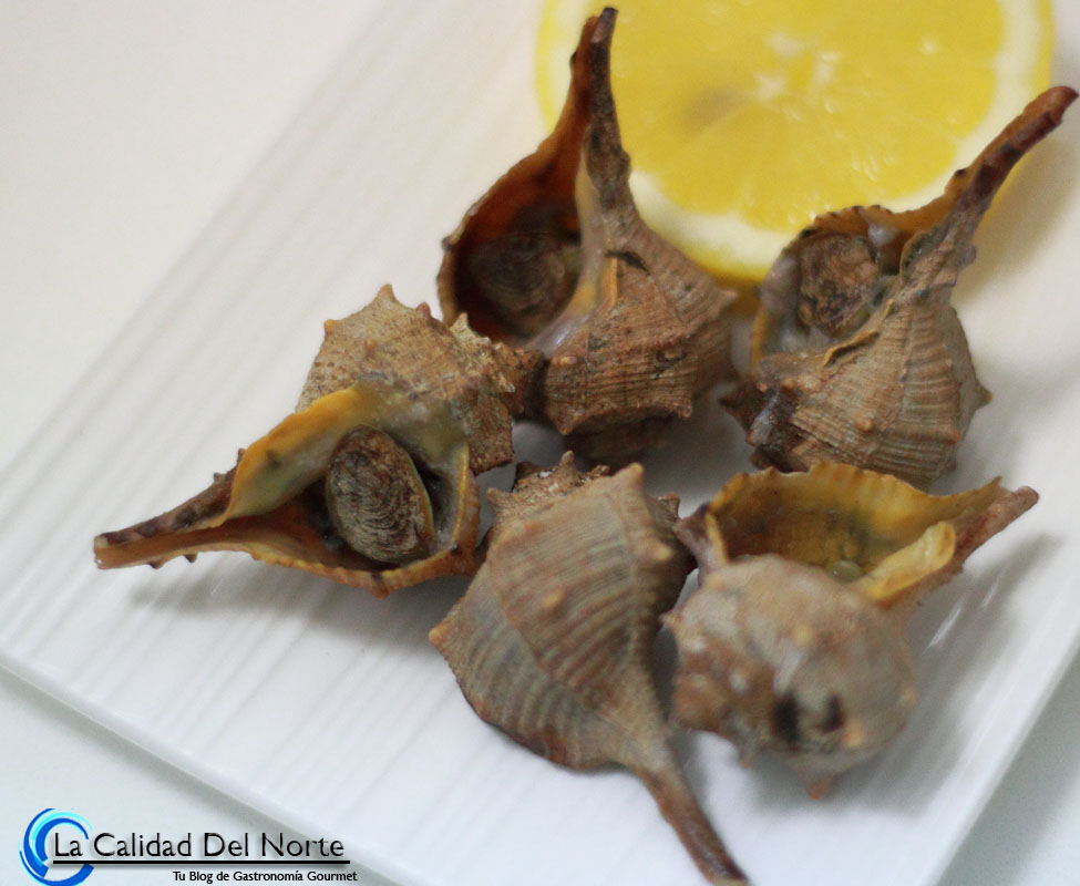 ¿Qué es y cómo se cocina una Cañaílla? | LaCalidadDelNorte